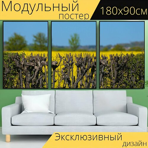 Модульный постер "Желтый, живая изгородь, весна" 180 x 90 см. для интерьера