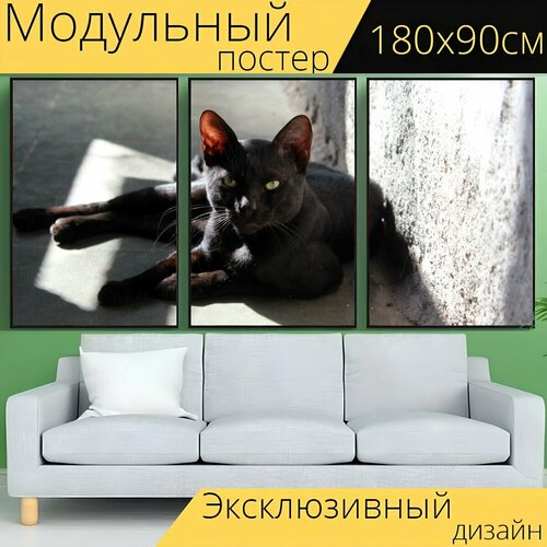 Модульный постер "Кошка, чернить, кошачий" 180 x 90 см. для интерьера