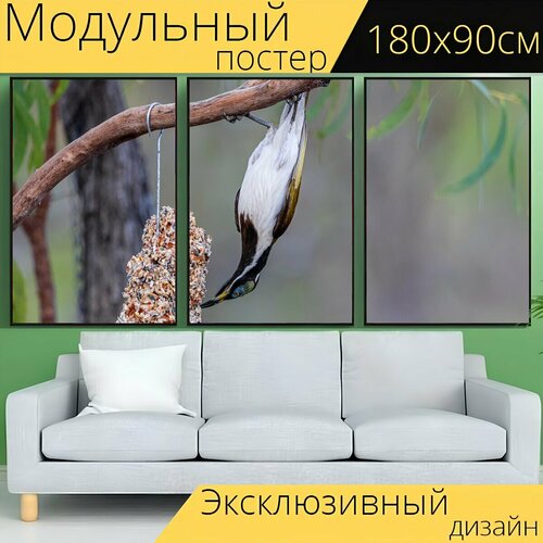 Модульный постер "Дикая природа, птица, висит птица" 180 x 90 см. для интерьера
