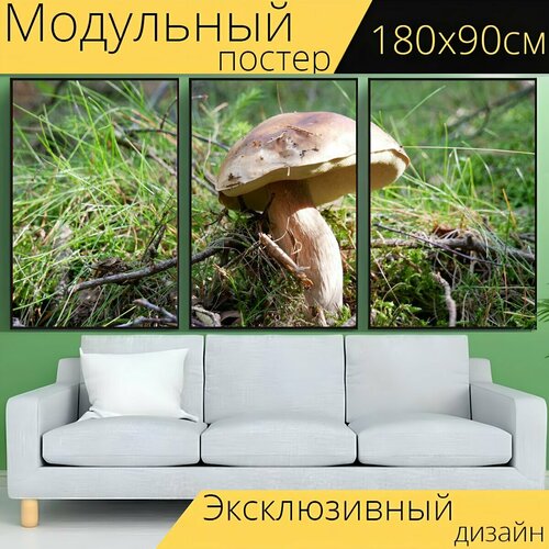 Модульный постер "Лес, гриб, природы" 180 x 90 см. для интерьера