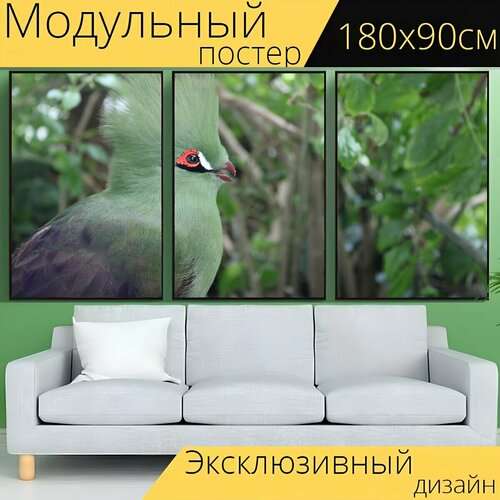 Модульный постер "Птицы, дубай, птица" 180 x 90 см. для интерьера