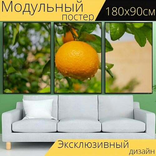 Модульный постер "Апельсин, на открытом воздухе, пейзаж" 180 x 90 см. для интерьера