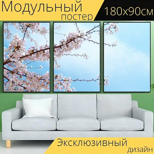 Модульный постер "Вишневое дерево, цветение вишни, япония" 180 x 90 см. для интерьера