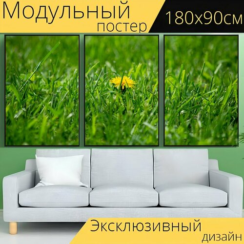 Модульный постер "Одуванчик, трава, цветок" 180 x 90 см. для интерьера