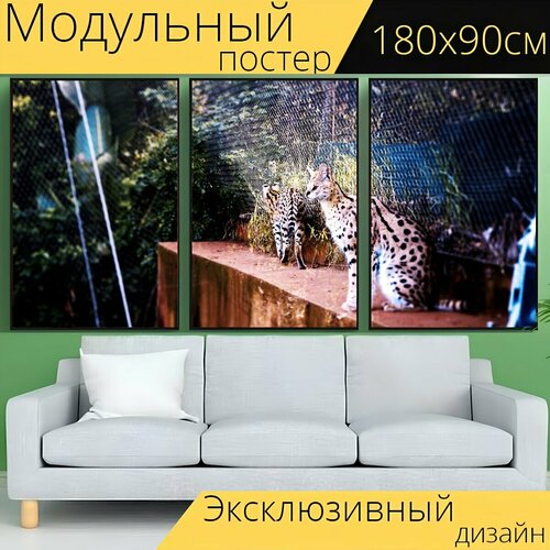 Модульный постер "Зоопарк, марокко, животные" 180 x 90 см. для интерьера