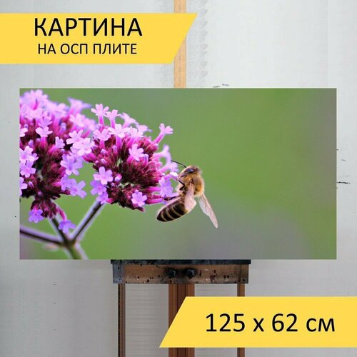 Картина на ОСП 125х62 см. "Пчела, пчелы, насекомое" горизонтальная, для интерьера, с креплениями