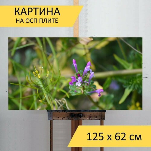 Картина на ОСП 125х62 см. "Полевые цветы, фиолетовый, природа" горизонтальная, для интерьера, с креплениями