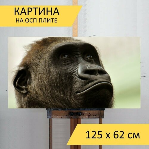 Картина на ОСП 125х62 см. "Горилла, обезьяна, животное" горизонтальная, для интерьера, с креплениями
