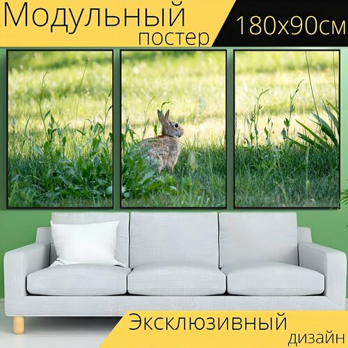 Модульный постер "Кролик, заяц, трава" 180 x 90 см. для интерьера