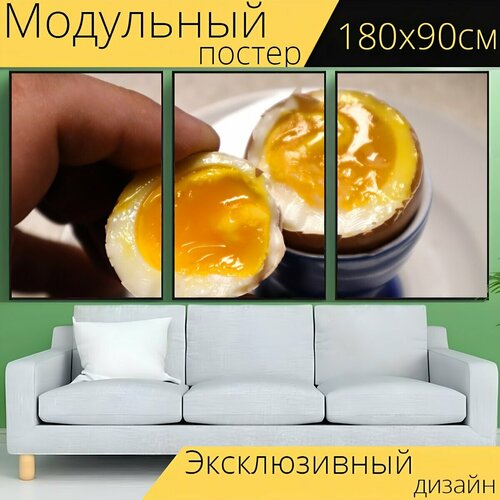 Модульный постер "Яйцо, белок, яичный желток" 180 x 90 см. для интерьера