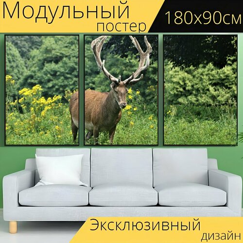 Модульный постер "Животное, рога, олень" 180 x 90 см. для интерьера