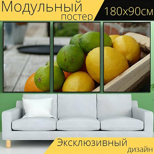 Модульный постер "Плоды, лимоны, лаймы" 180 x 90 см. для интерьера