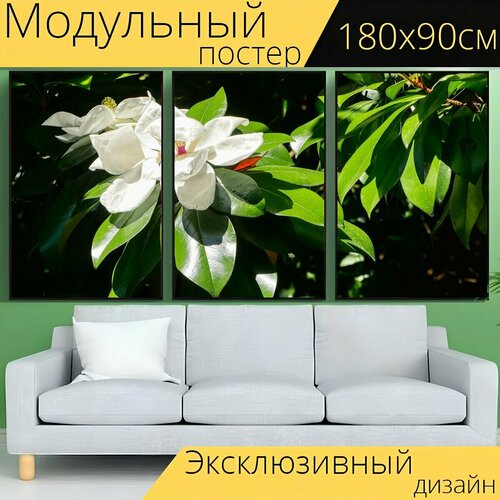 Модульный постер "Цветок, белый, орхидея" 180 x 90 см. для интерьера
