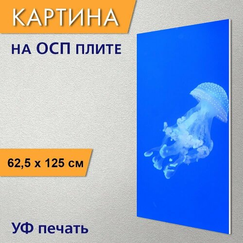 Вертикальная картина на ОСП "Медуза, воды, синий" 62x125 см. для интерьериа