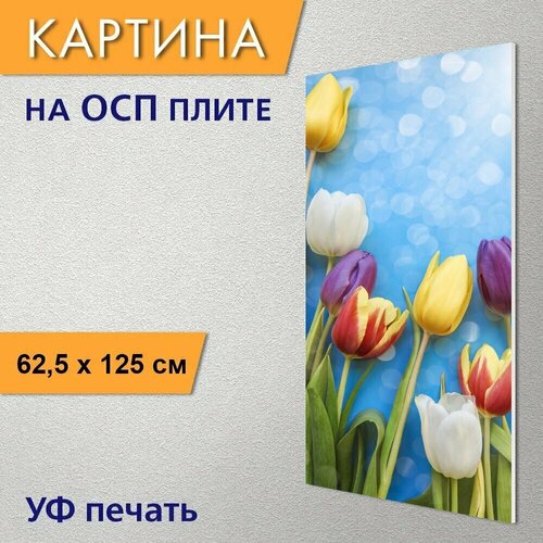Вертикальная картина на ОСП "Тюльпан, цветок, природа" 62x125 см. для интерьериа