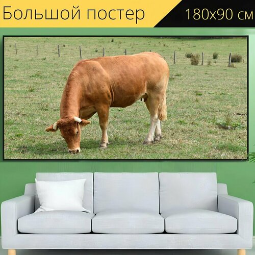 Большой постер "Корова, молочные коровы, корова поедает траву" 180 x 90 см. для интерьера