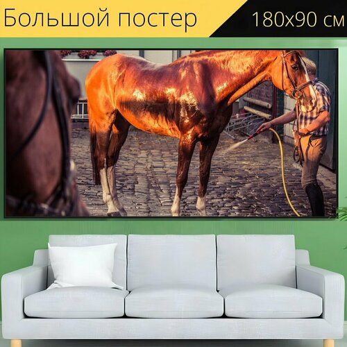Большой постер "Лошадь, мытье лошадей, вода" 180 x 90 см. для интерьера
