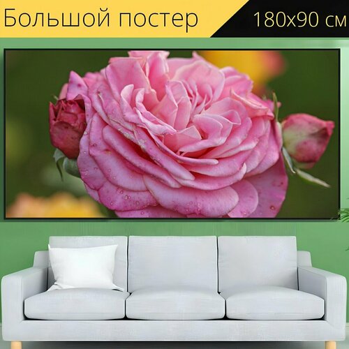 Большой постер "Роза, душистые роуз, красота" 180 x 90 см. для интерьера