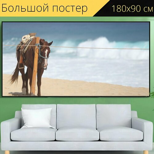 Большой постер "Лошадь, пляж, кабо" 180 x 90 см. для интерьера