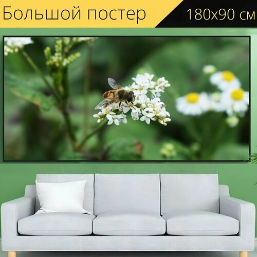 Большой постер "Пчела, цветочная пыльца, насекомое" 180 x 90 см. для интерьера