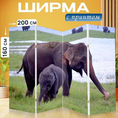 Ширма перегородка с принтом "Животное, животные, азия" на холсте - 200x160 см. для зонирования, раскладная