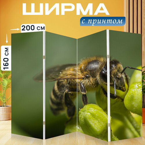 Ширма перегородка с принтом "Пчела, завод, природа" на холсте - 200x160 см. для зонирования, раскладная
