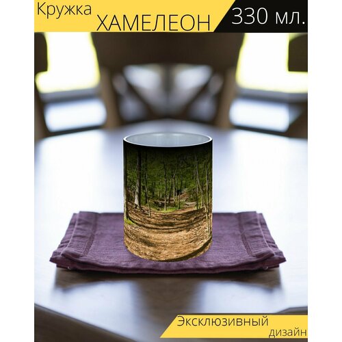 Кружка хамелеон с принтом "Тропа козла билли, мэриленд, дорожка" 330 мл.