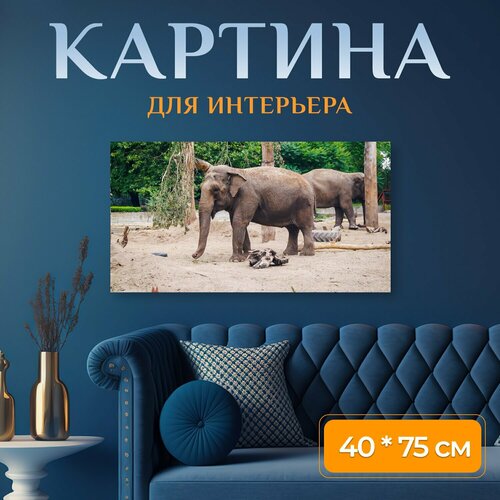 Картина на холсте "Слон, природа, животное" на подрамнике 75х40 см. для интерьера