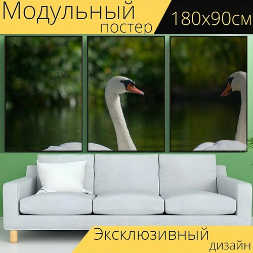 Модульный постер "Лебеди, пара, озеро" 180 x 90 см. для интерьера