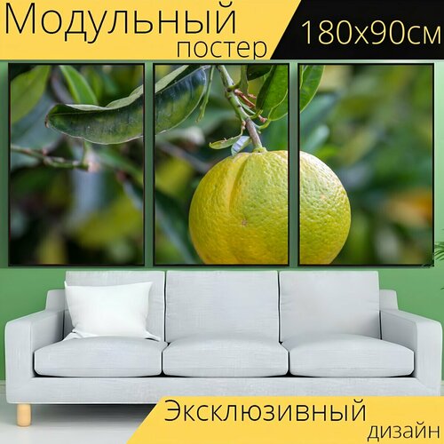 Модульный постер "Апельсин, фрукты, завод" 180 x 90 см. для интерьера