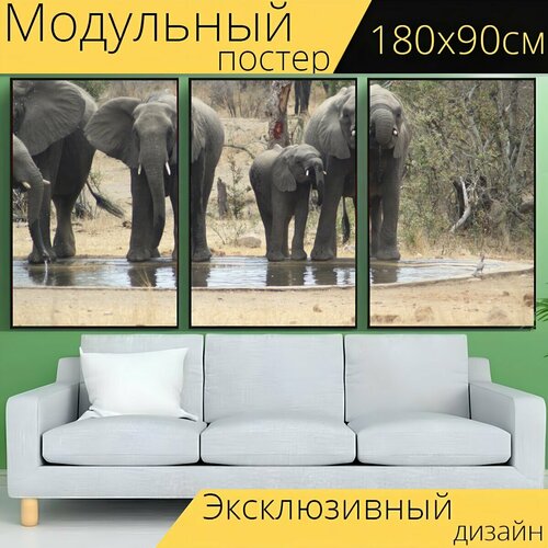 Модульный постер "Слон, бивни, природа" 180 x 90 см. для интерьера