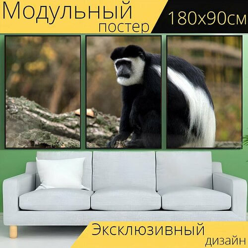 Модульный постер "Животное, обезьяна, в логотипе" 180 x 90 см. для интерьера