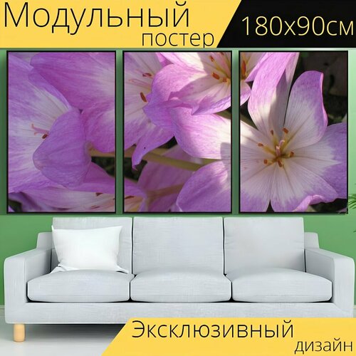 Модульный постер "Лили, цвести, цветок" 180 x 90 см. для интерьера
