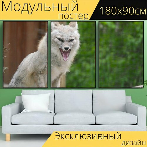 Модульный постер "Волк, зубы, хищник" 180 x 90 см. для интерьера