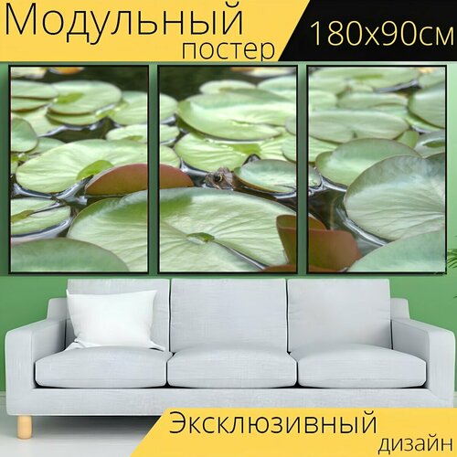 Модульный постер "Лягушка, пруд, водяная лилия" 180 x 90 см. для интерьера