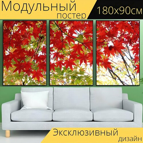 Модульный постер "Осенние листья, осень, лист" 180 x 90 см. для интерьера