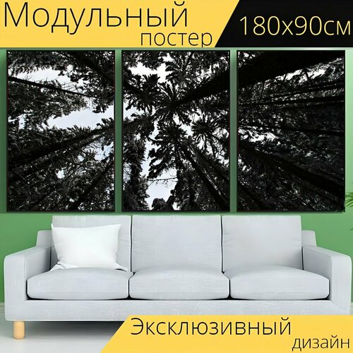 Модульный постер "Деревья, лес, навес" 180 x 90 см. для интерьера