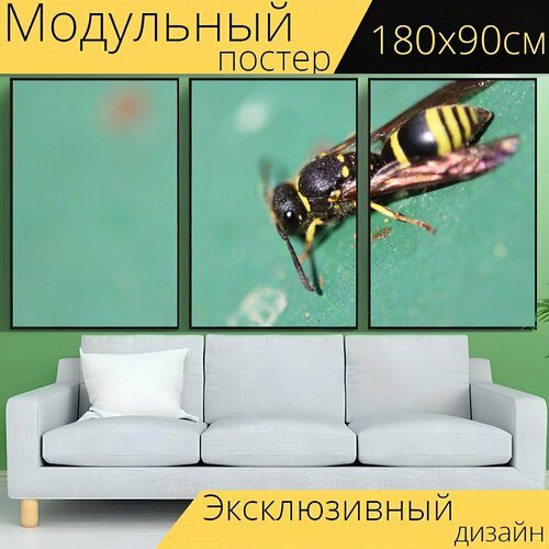 Модульный постер "Оса, небольшой, насекомое" 180 x 90 см. для интерьера