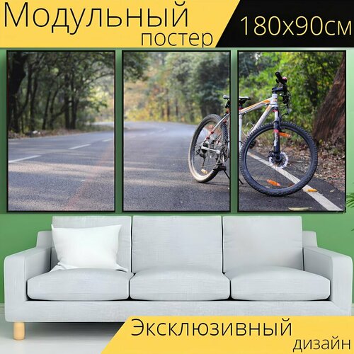 Модульный постер "Велосипед, дорога, кататься на велосипеде" 180 x 90 см. для интерьера