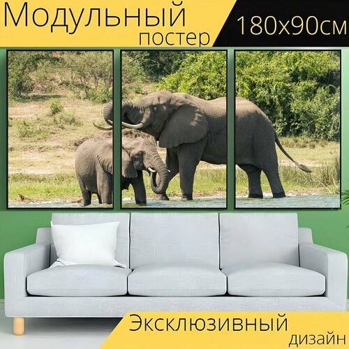 Модульный постер "Слоны, африка, уганда" 180 x 90 см. для интерьера