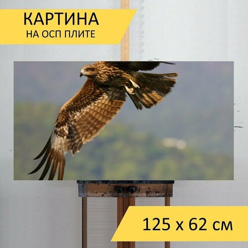 Картина на ОСП 125х62 см. "Орел, природа, сова" горизонтальная, для интерьера, с креплениями