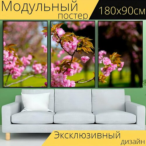 Модульный постер "Дерево, цветущий, весна" 180 x 90 см. для интерьера