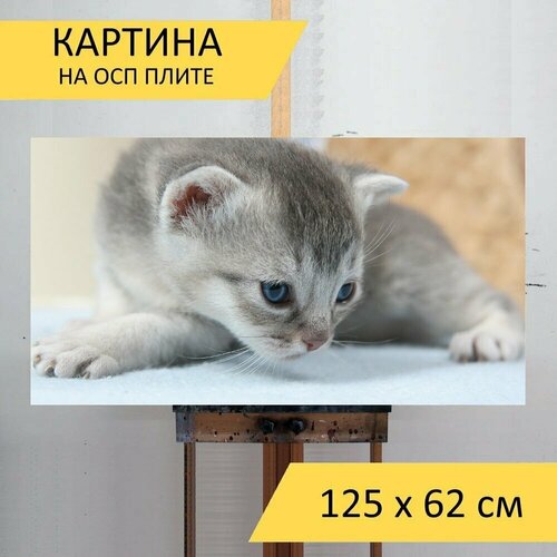 Картина на ОСП 125х62 см. "Кот, котенок, кошка ребенок" горизонтальная, для интерьера, с креплениями
