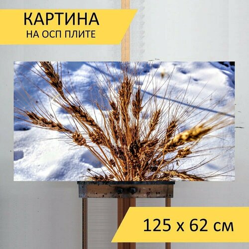 Картина на ОСП 125х62 см. "Пшеница, колос пшеницы, снег" горизонтальная, для интерьера, с креплениями