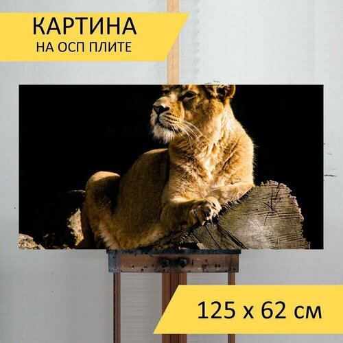 Картина на ОСП 125х62 см. "Дикая природа, лев, большой кот" горизонтальная, для интерьера, с креплениями