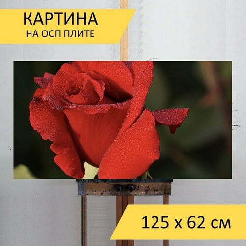 Картина на ОСП 125х62 см. "Роза, красный, цветок" горизонтальная, для интерьера, с креплениями