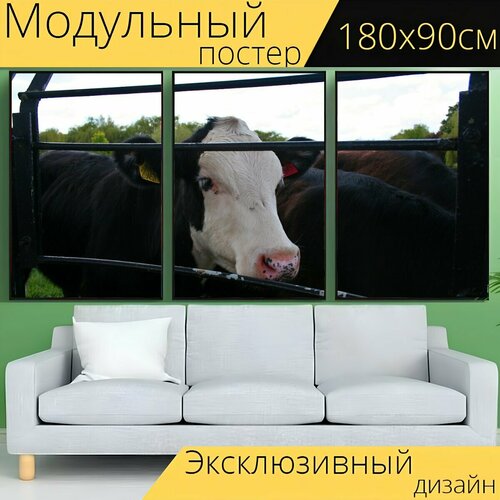 Модульный постер "Корова, ферма, домашний скот" 180 x 90 см. для интерьера
