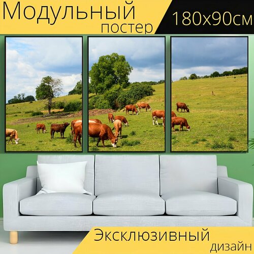 Модульный постер "Корова, молочные коровы, животное" 180 x 90 см. для интерьера