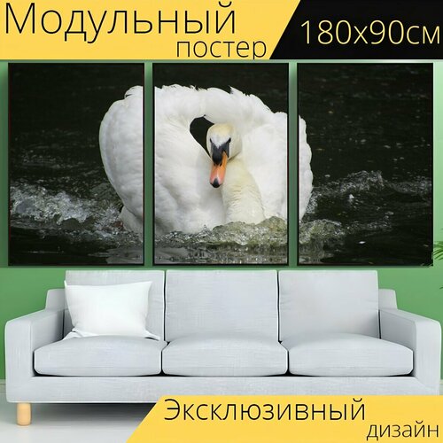 Модульный постер "Лебедь, водоплавающая птица, птица" 180 x 90 см. для интерьера