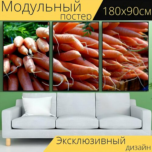 Модульный постер "Морковь, еда, овощи" 180 x 90 см. для интерьера